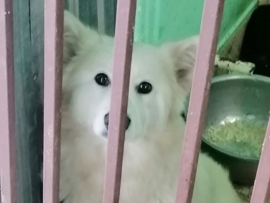 Юки