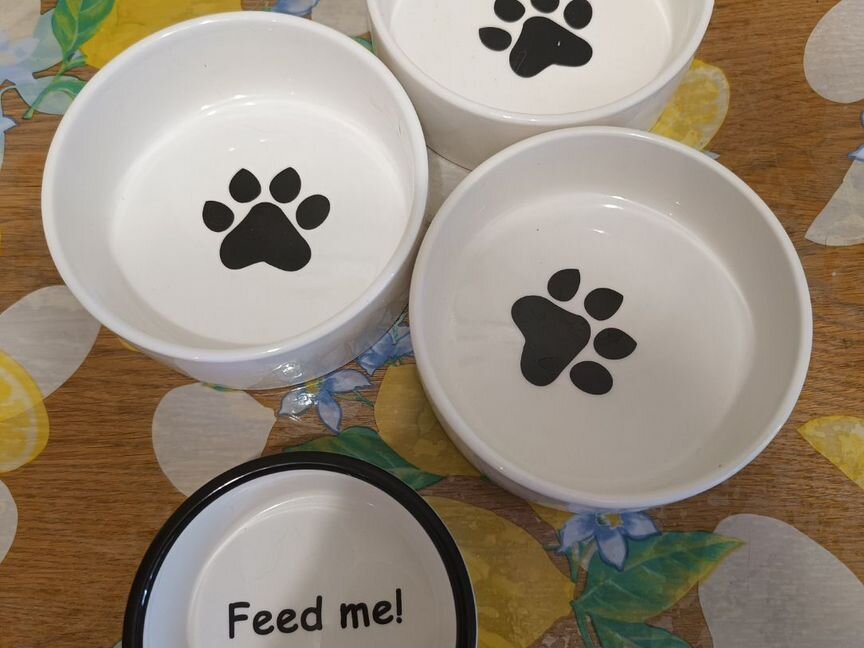 Миски для кошек керамические