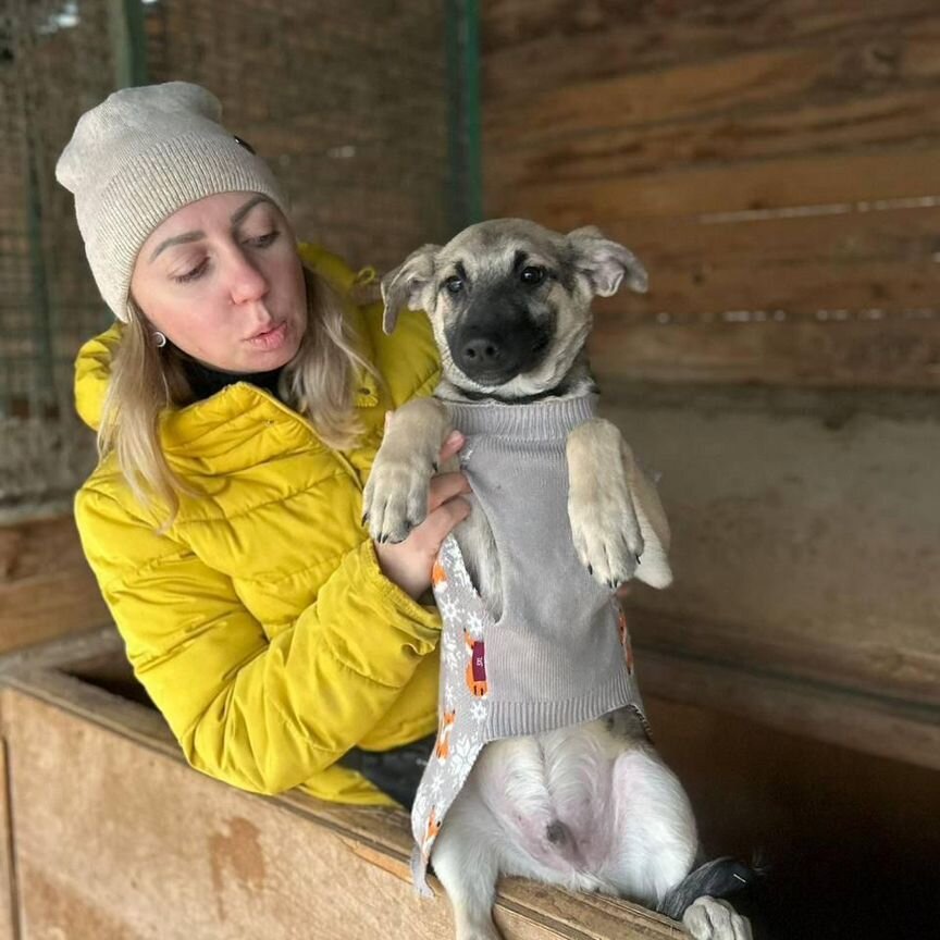 Я так хочу в теплый дом, где любовь