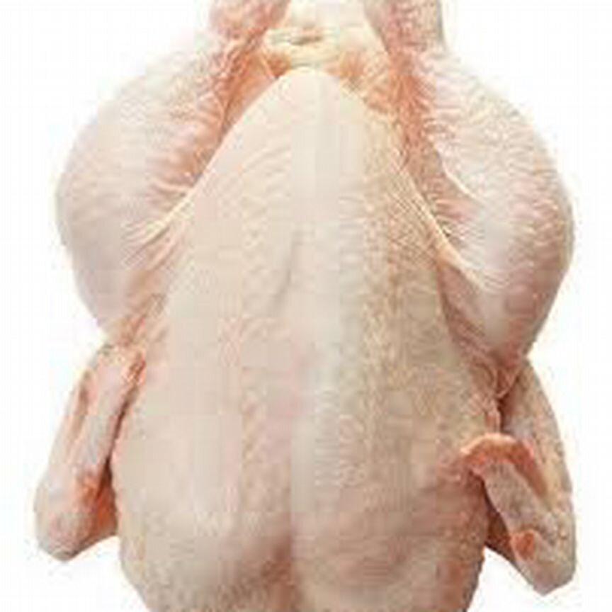 Куры бройлеры тушки мясо