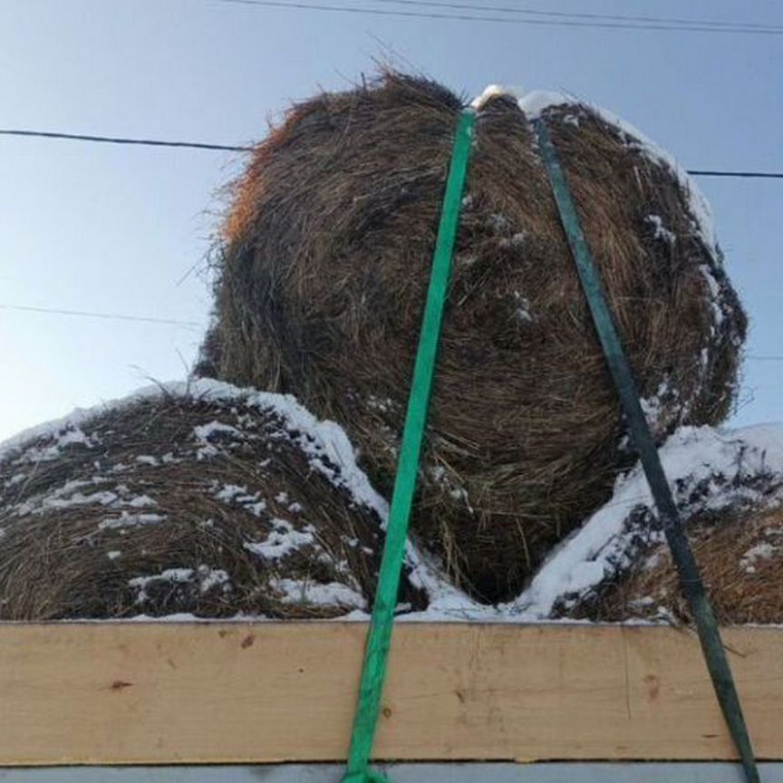 Сено в рулонах с доставкой