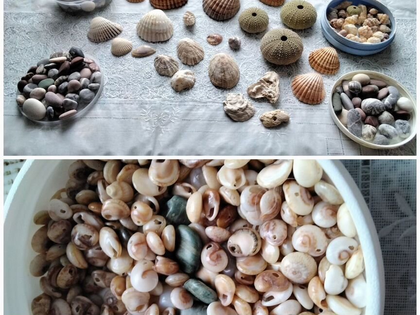 Ракушки и камни для аквариума