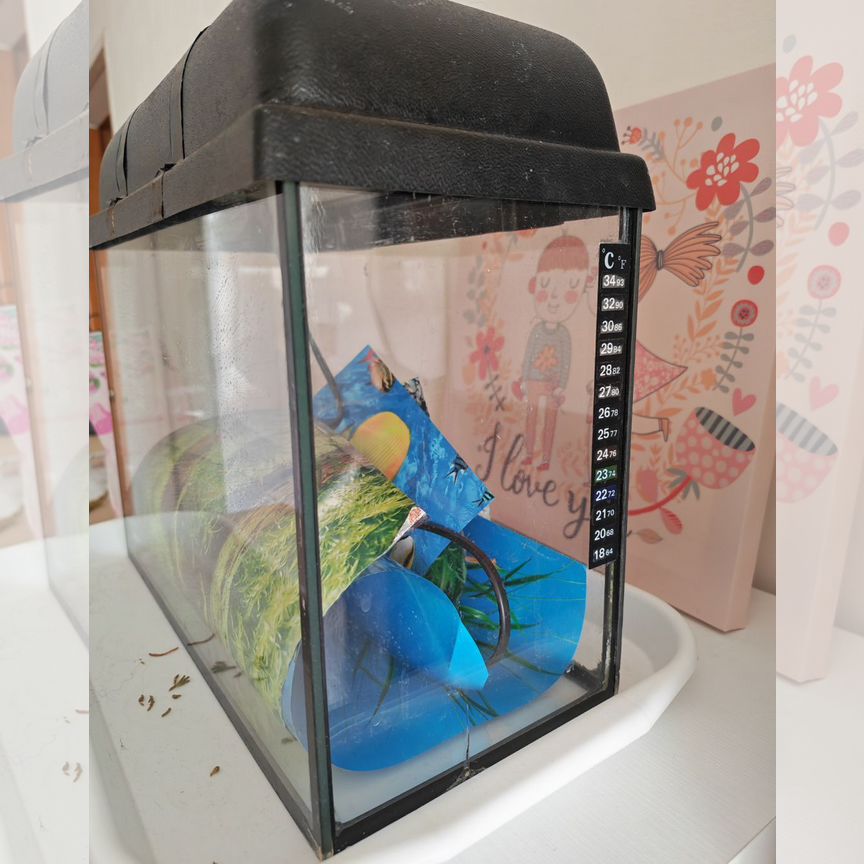 Аквариум 10 литров