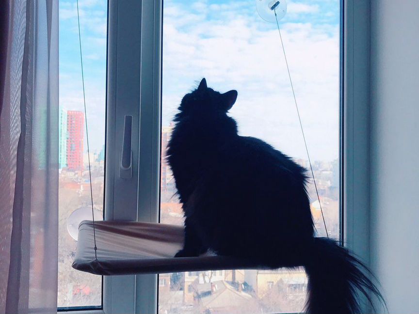 Подвесной лежак для кошек