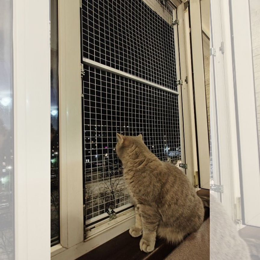 Решетка антикошка