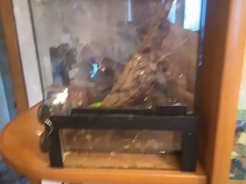 Террариум для больших пауков