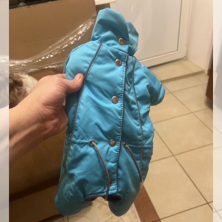 Одежда для собак