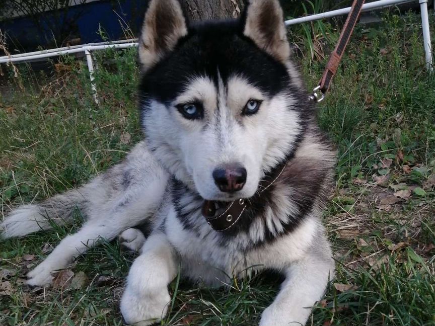 Помогите не оказаться на улице