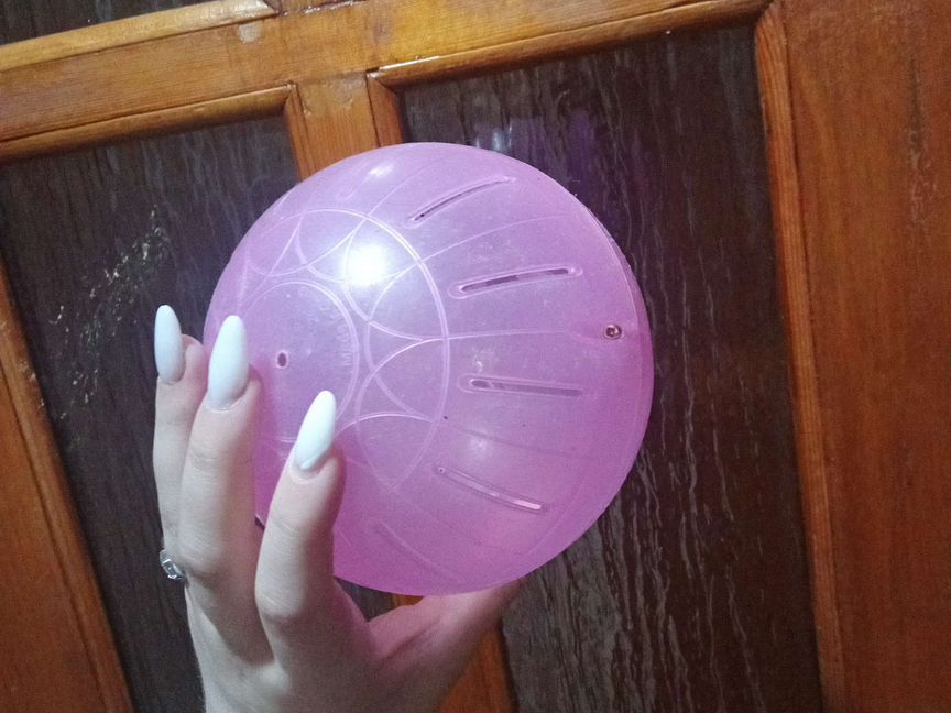 Шар для хомяка