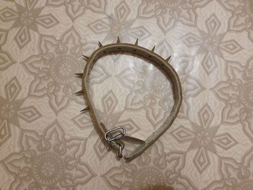 Ошейник для собак