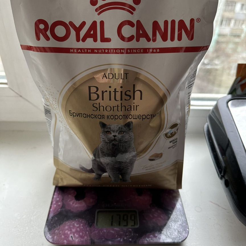 Корм для кошек royal canin