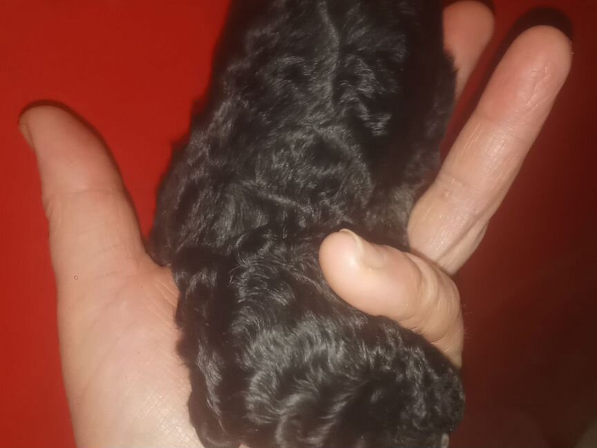 Бриллиантик