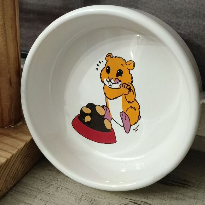 Набор для хомяка