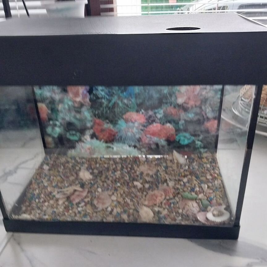 Аквариум для рыб