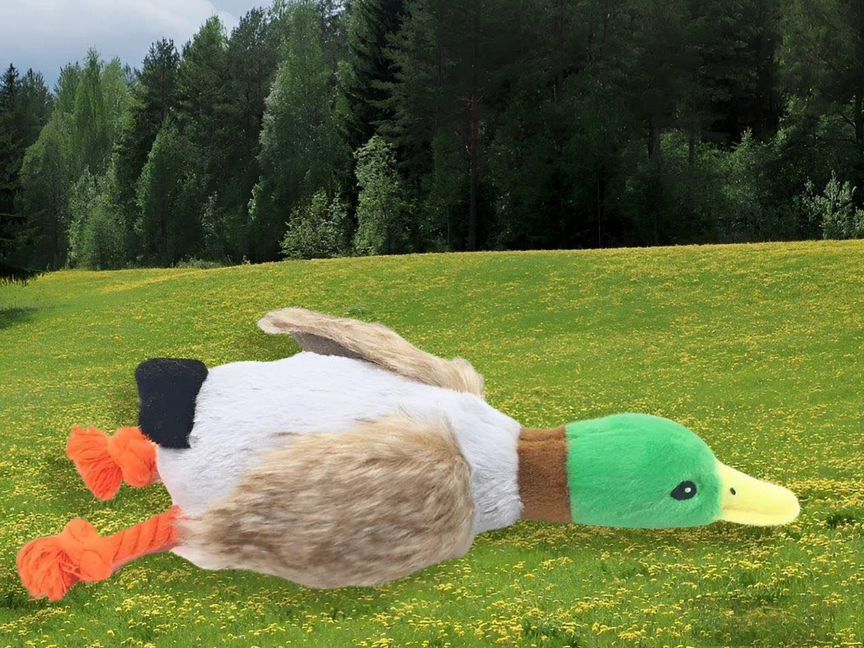 Утка игрушка для собак