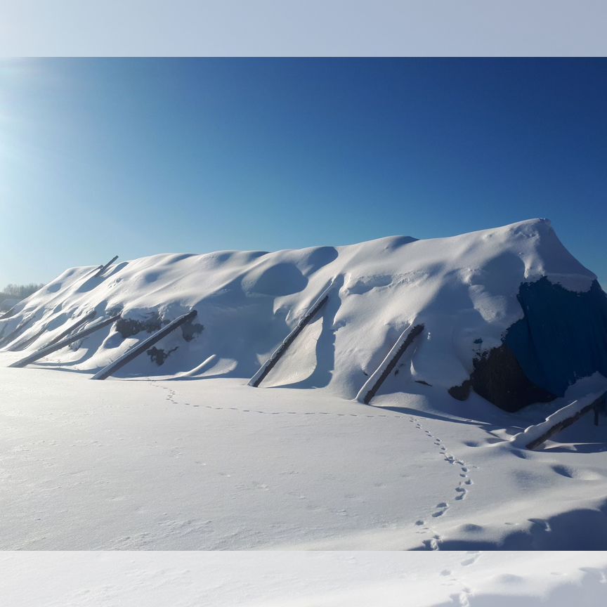 Солома овсяная в рулонах