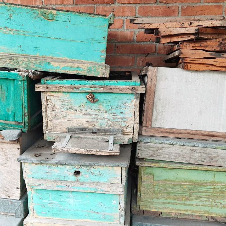 Улики для пчел