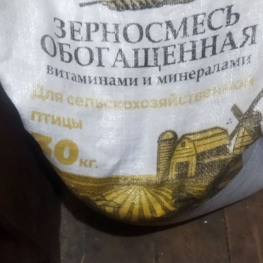 Корм для кур