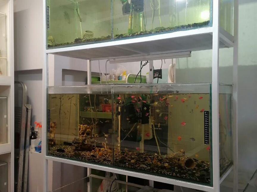 Стойка с аквариумами