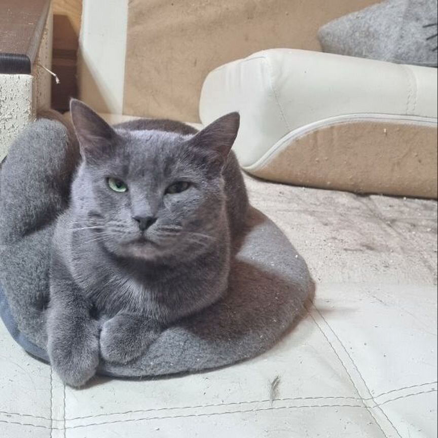 Идеал настоящего мужчины