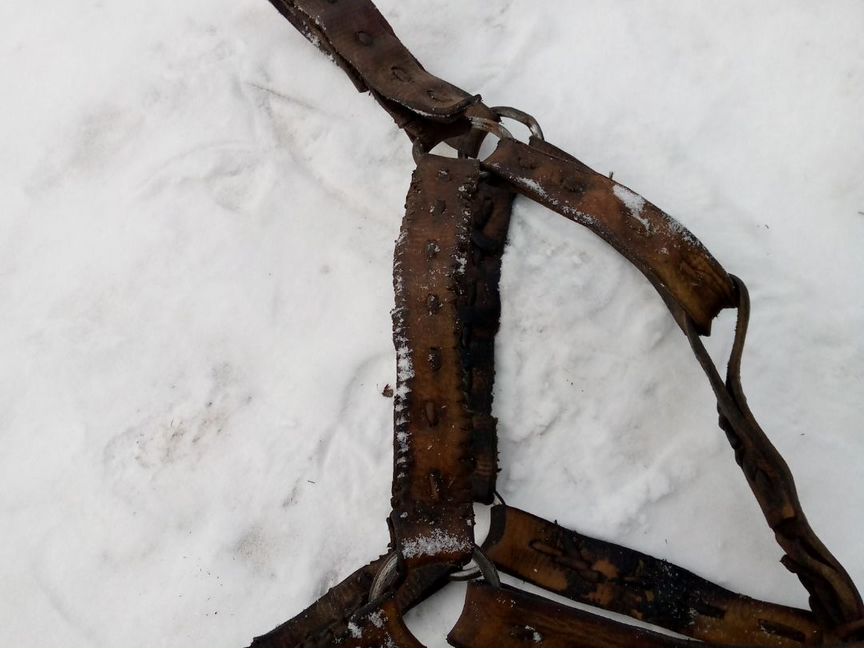 Недоуздок для лошади