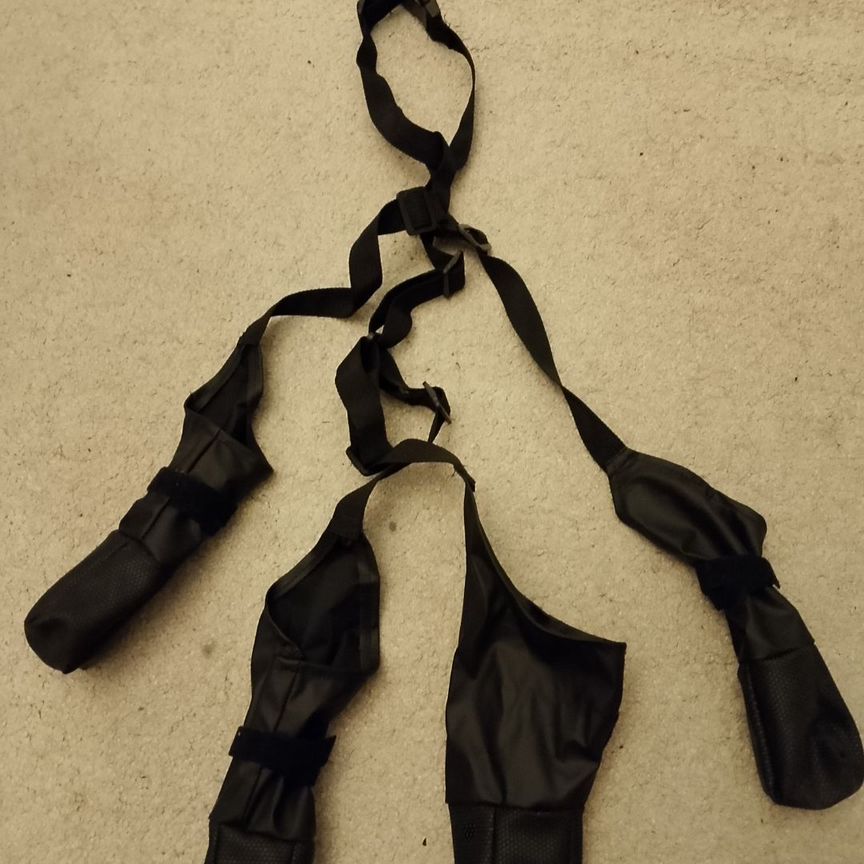 Обувь для собак