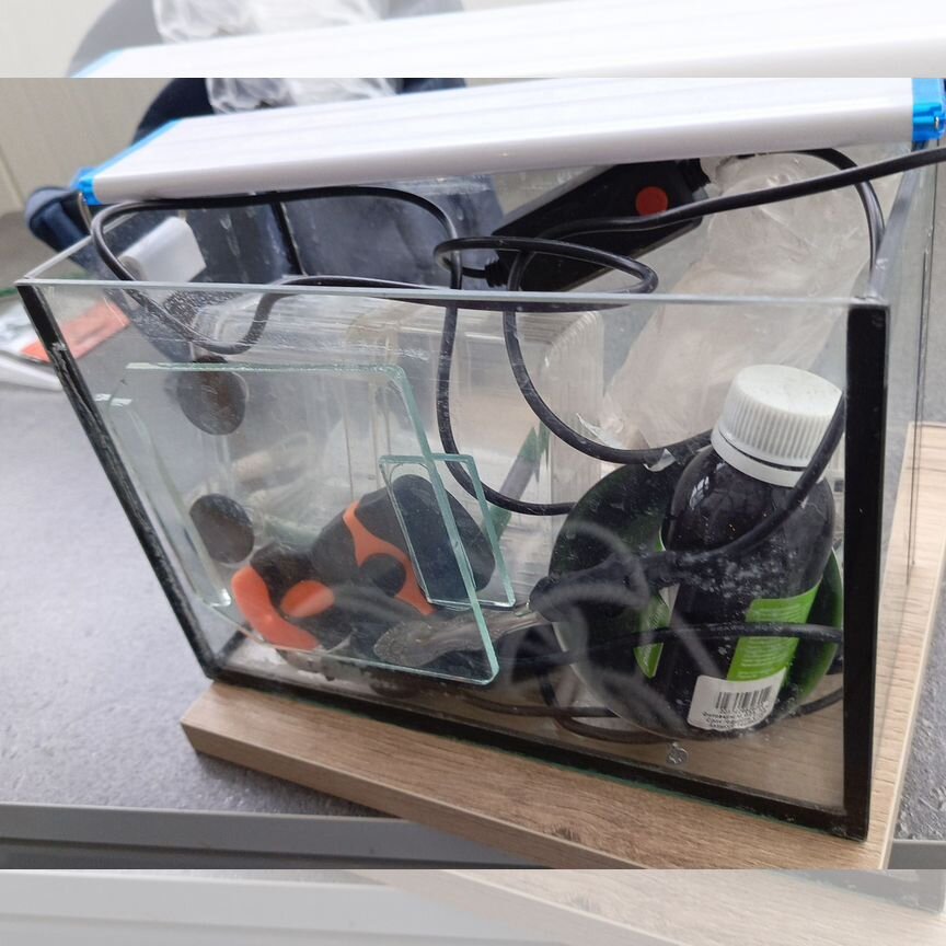 Аквариум. Лампа для аквариума