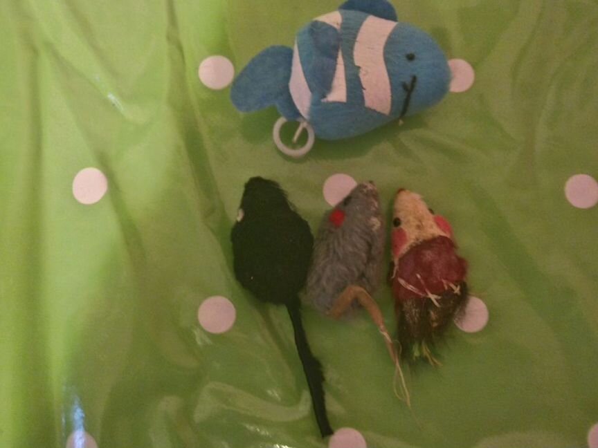 3 мышки игрушки и рыбка с кольцом на вибрации