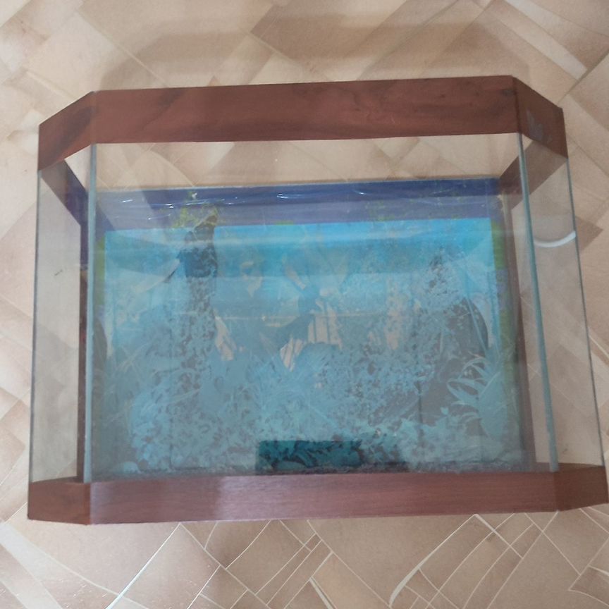 Аквариум для рыб