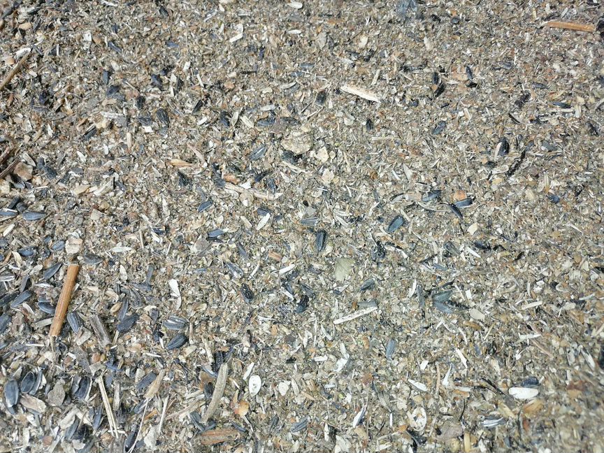 Корм для животных