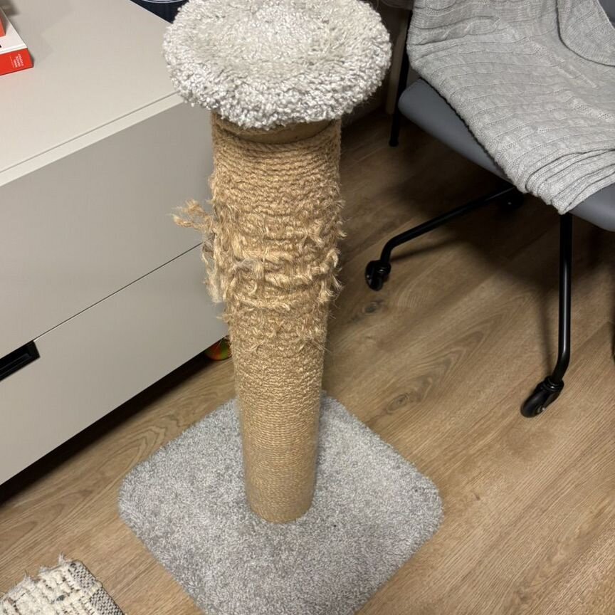 Когтеточка