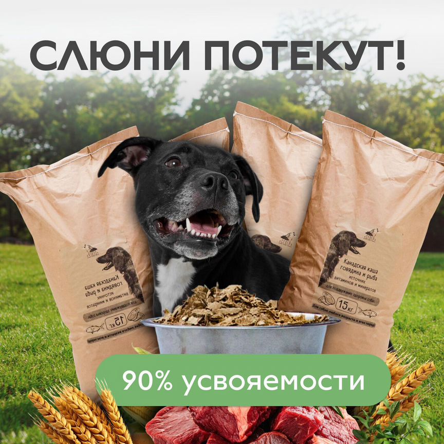 Корм для собак 15 кг бесплатная доставка