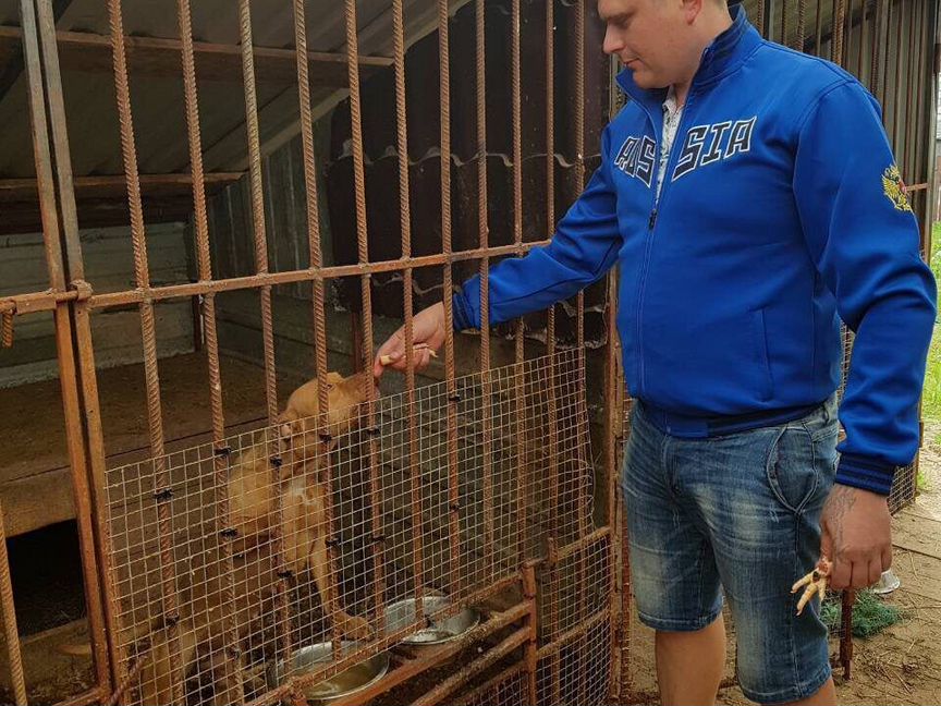Вольер для собак