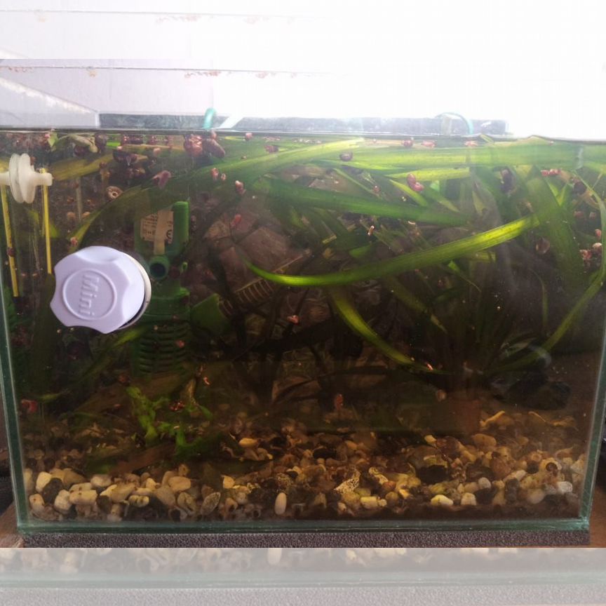 Украшение для аквариума