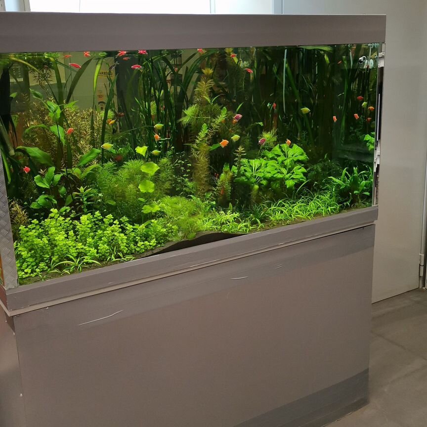 Аквариум с тумбой 750 литров