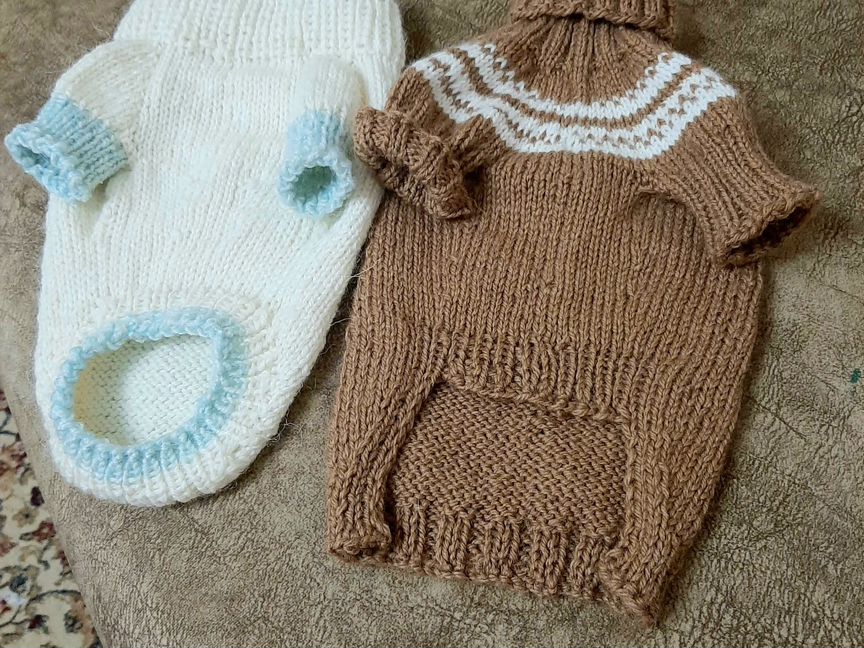 Одежда для маленьких пород собак