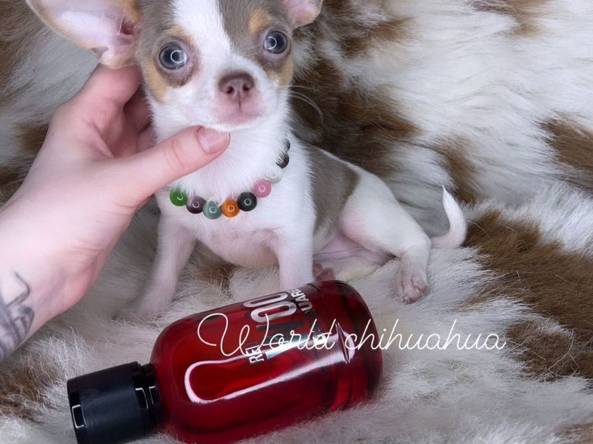 Мальчишка один на миллион