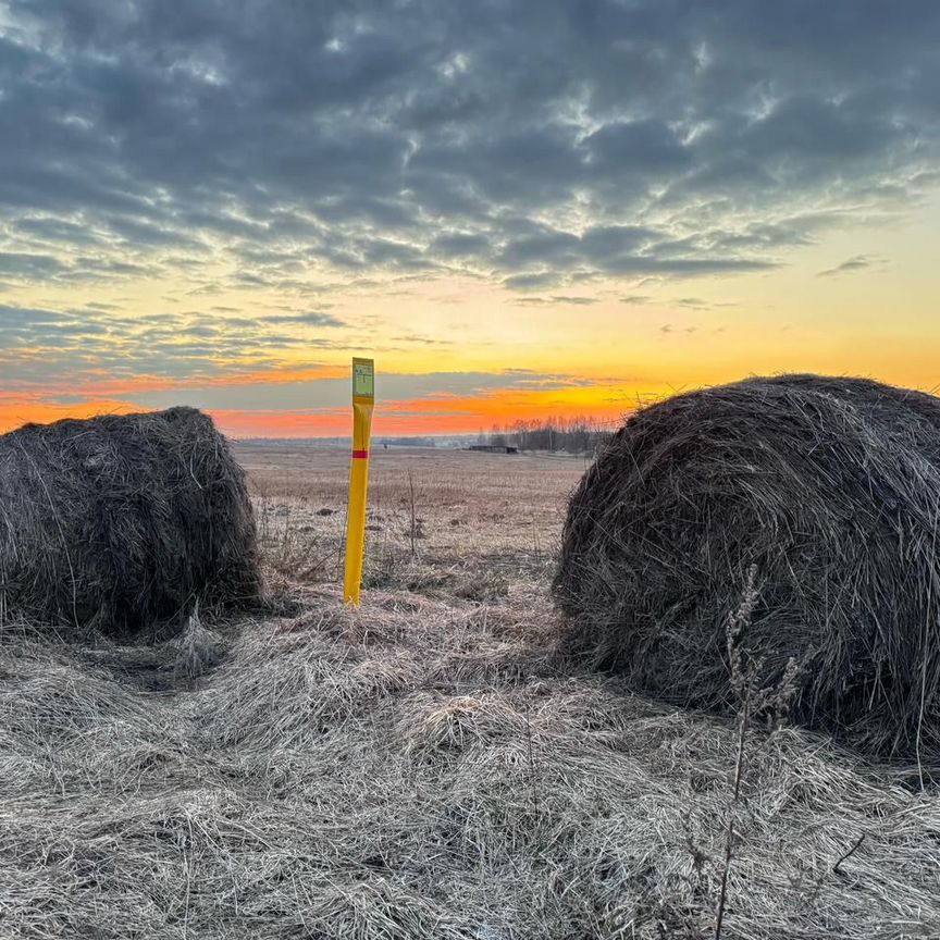 Продам сено в рулонах