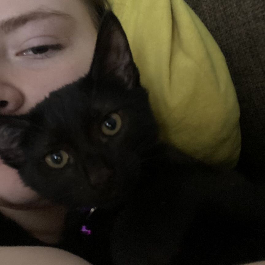 Котик 5 месяцев