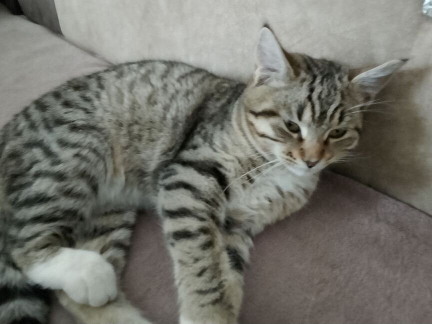 Майн кун ищем жениха