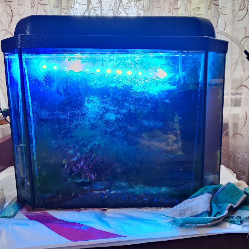Аквариум