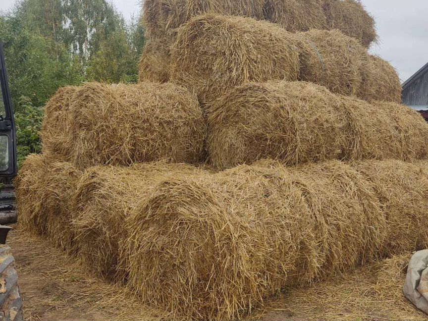 Солома в рулонах с доставкой