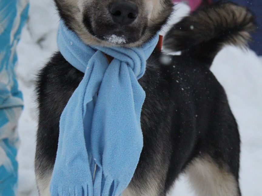 Малыш Буба тоскует без семьи