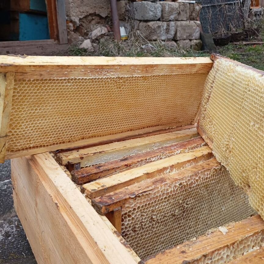 Рамка сушь для пчел