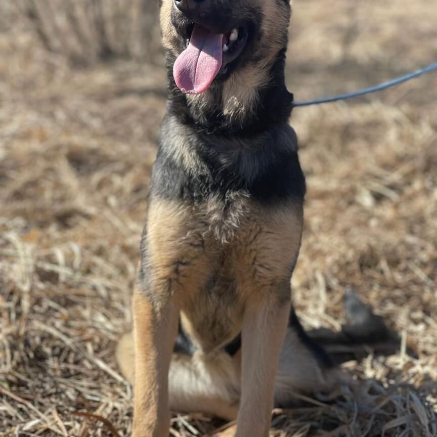 Айке нужна семья