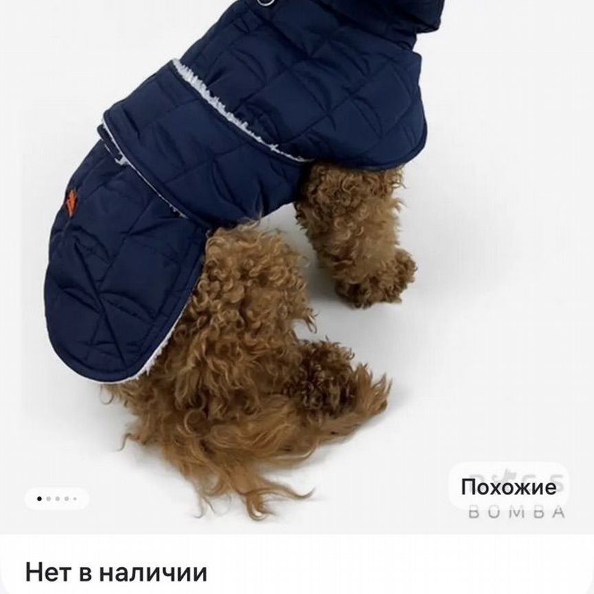 Одежда для собак жилетка