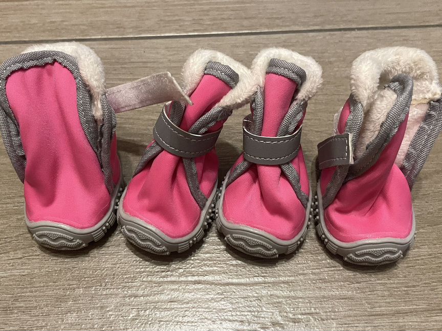 Одежда для собак