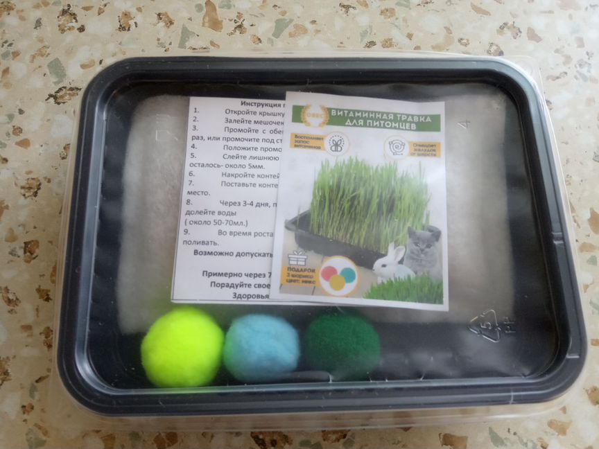 Витаминная травка для кота