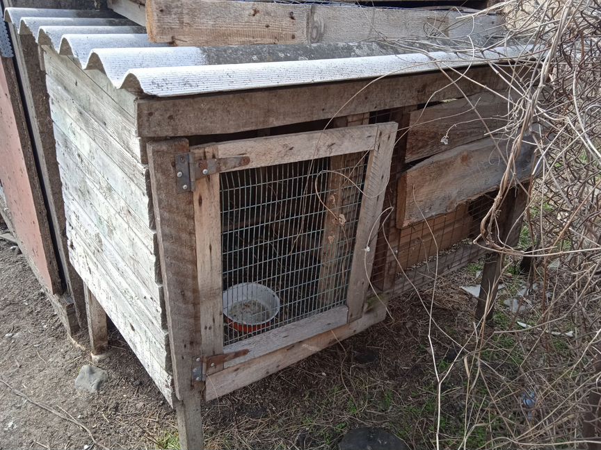 Кролятники