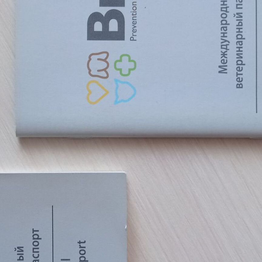 Ветеринарный паспорт